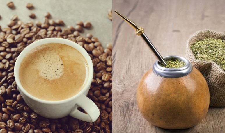 Mate, té o café: cuáles son los beneficios para la salud de estas ...